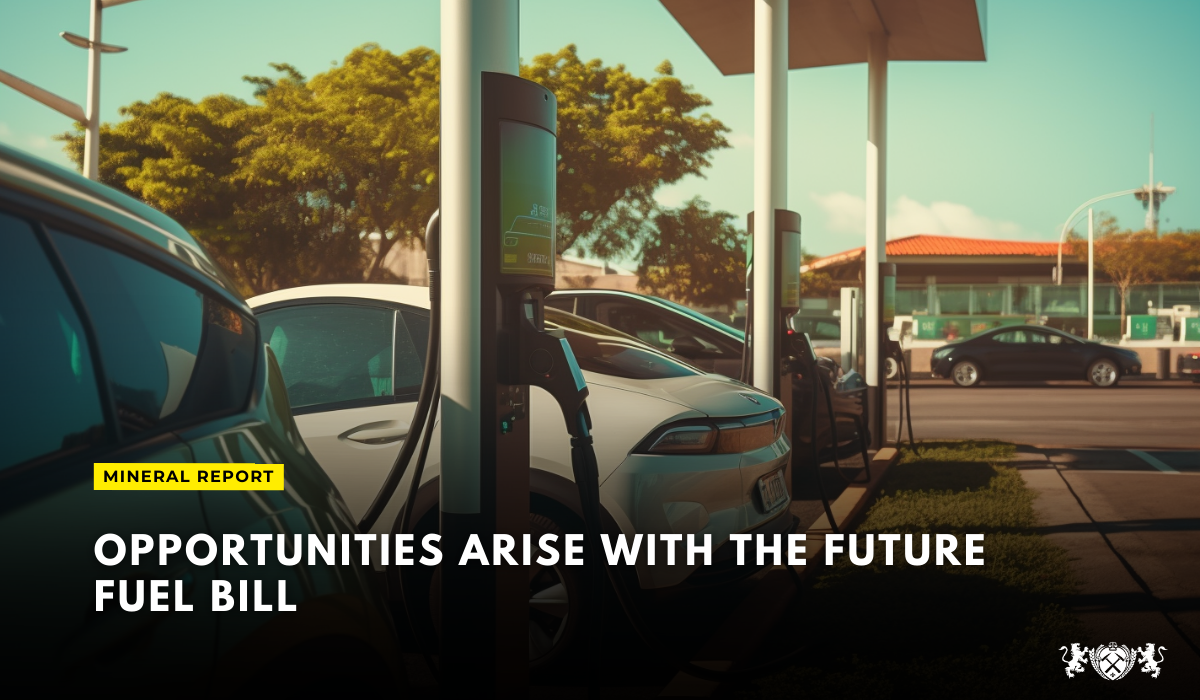 “Opportunities Arise with the Future Fuel Bill – Ígnea | Geologia e ...