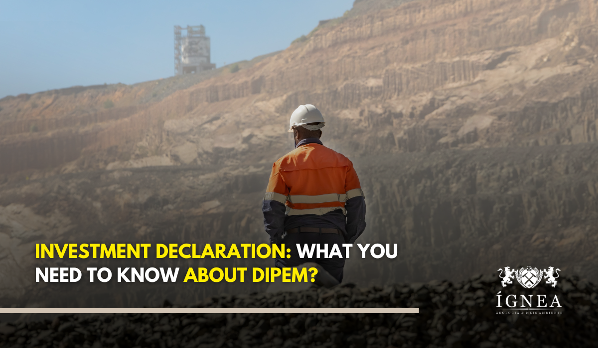 Investment Declaration: What You Need to Know About the DIPEM? – Ígnea ...